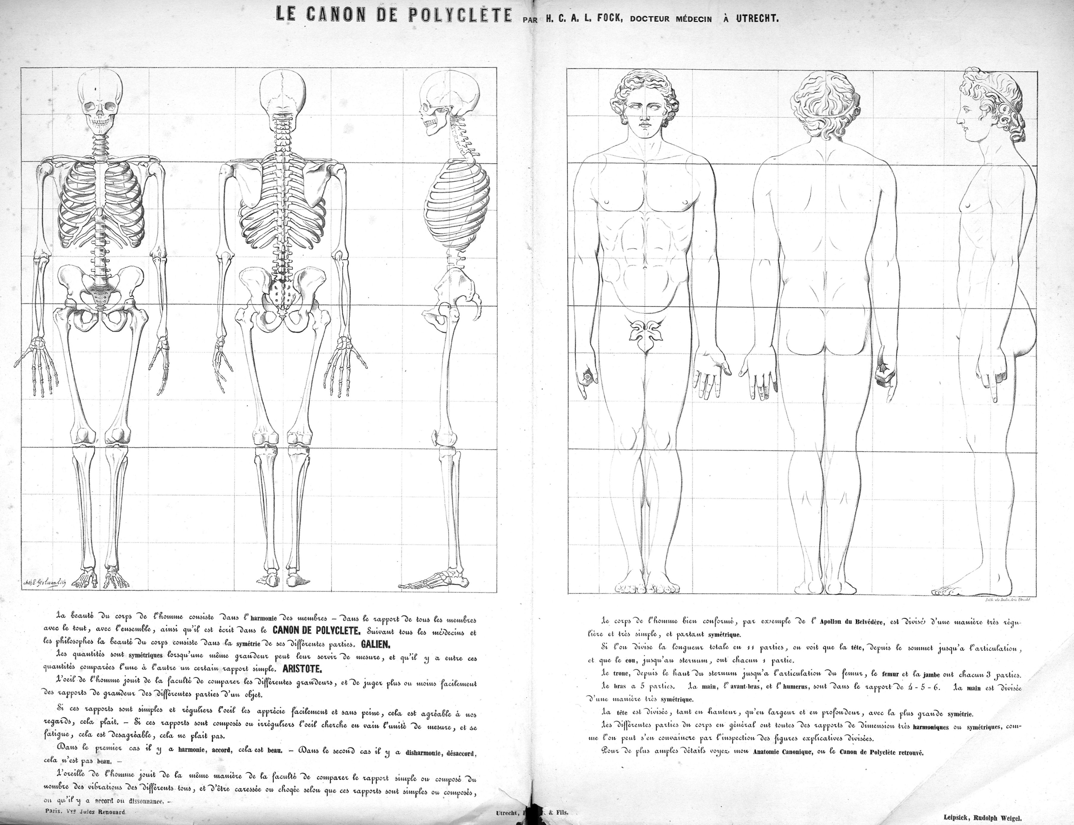 Banque d'images et de portraits — BIU Santé, Université Paris Cité