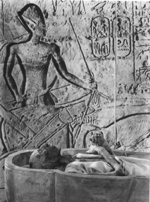 La momie de Ramses II : étude paléopathologique d'un pharaon de la XIXe ...